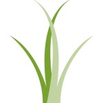 About – Wiregrass Georgia Technical College